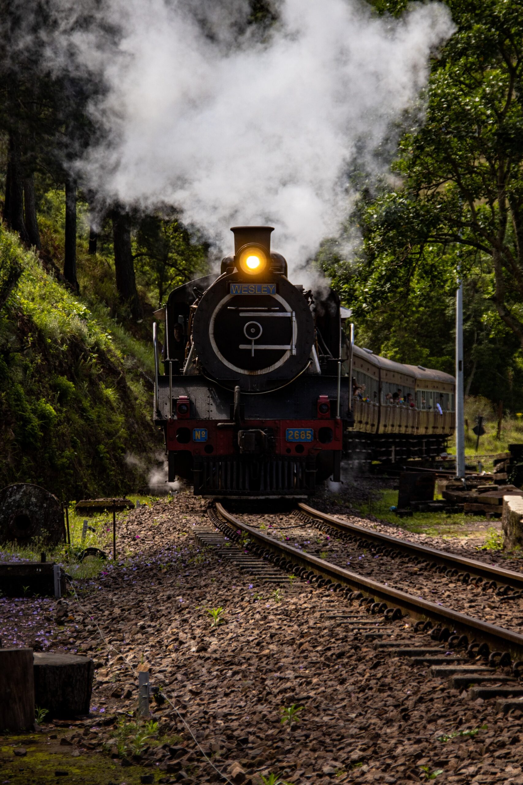 Journey In Opulence: Exploring South Africa's Luxury Train Trips ... Journey In Opulence: Exploring South Africa's Luxury Train Trips ...